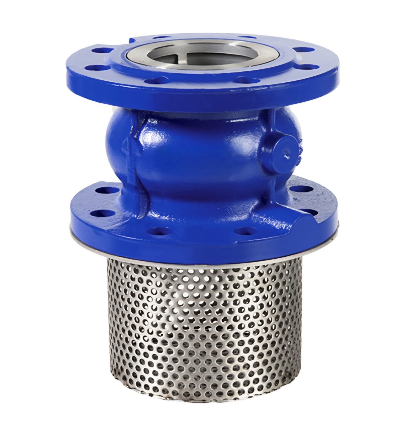 Foot Valve Supplier in UAE, Saudi Arabia & Bahrain | EN 1074-3